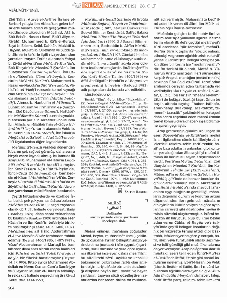 Meani | PDF