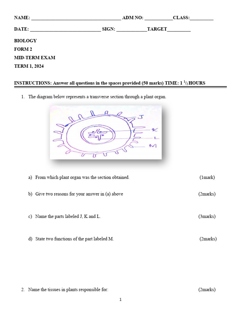 Biology F2 Exam | PDF | Tissue (Biology) | Plant Stem