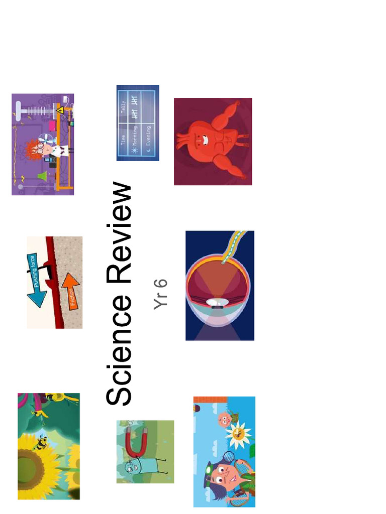 Science Review Yr6 | PDF