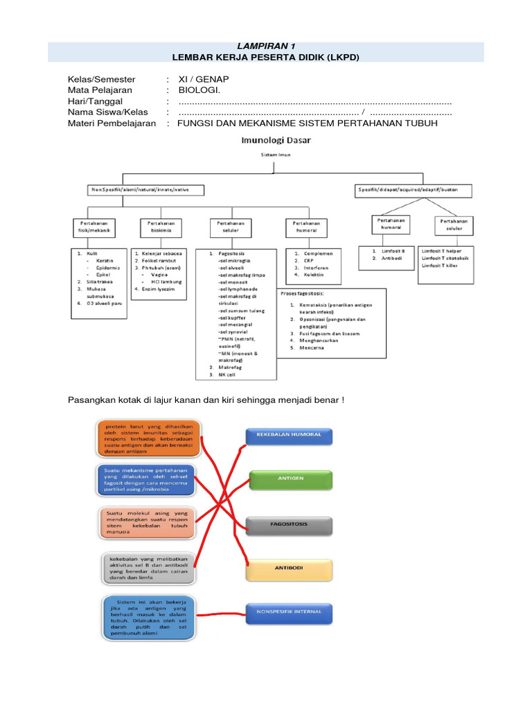 LKPD Biologi Kelas XI: Imunitas | PDF