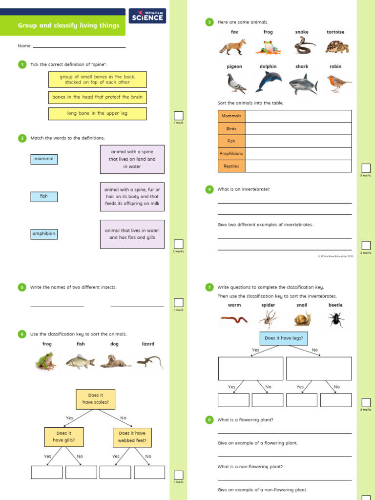 Y4AutEoB1 - Group and Classify Living Things | PDF | Fish | Invertebrate