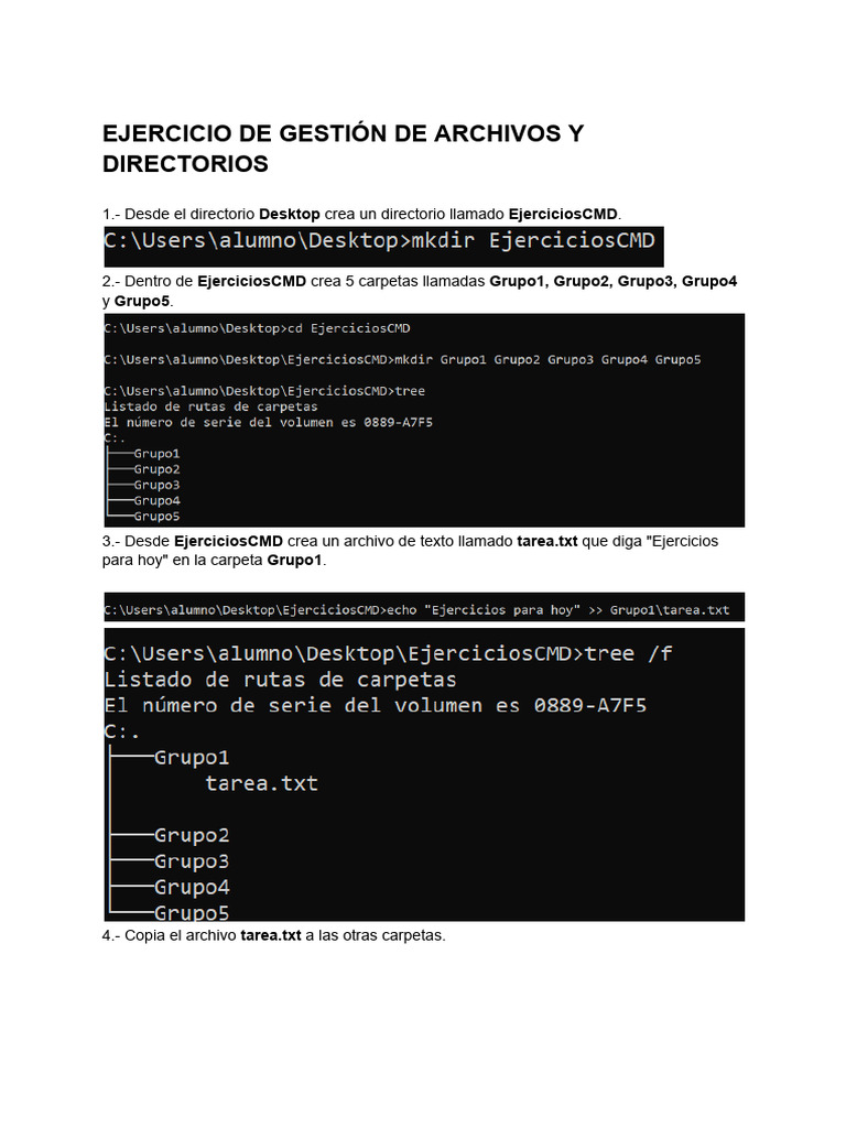 Ejercicio de Gestión de Archivos y Directorios | PDF