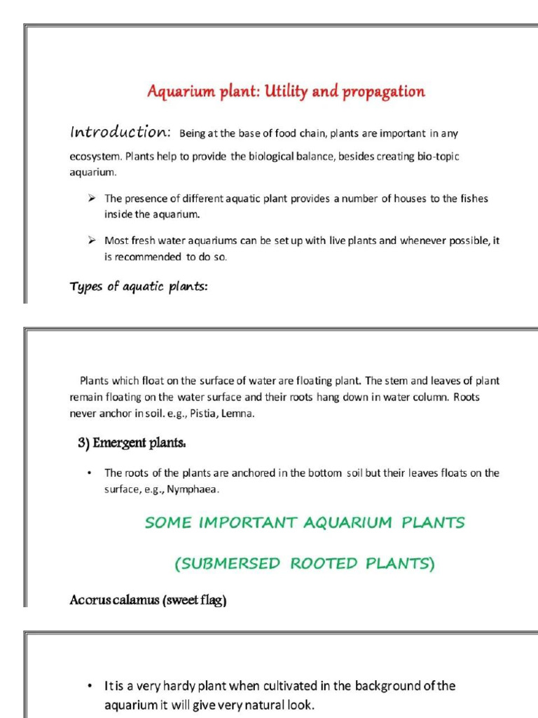 Aquarium Plants and Their Propogation | PDF