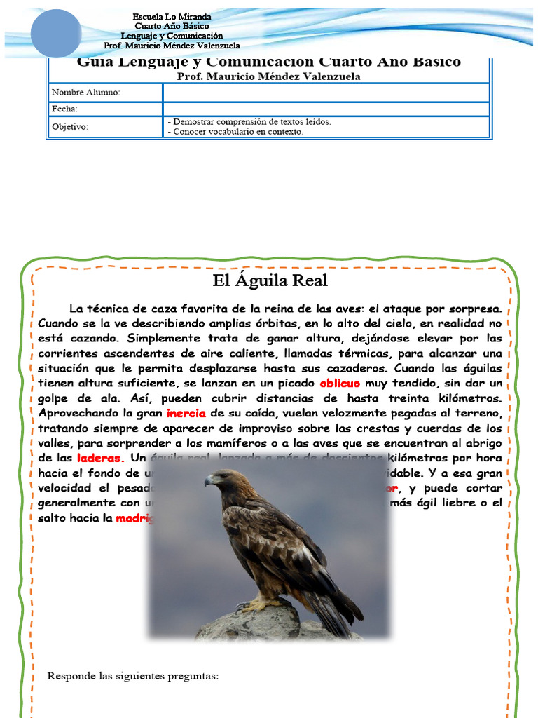 Guía 5 - El Águila Real | PDF