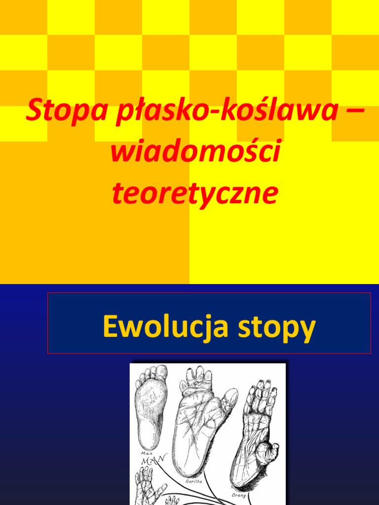 Stopa Płasko-Koślawa Teoria | PDF