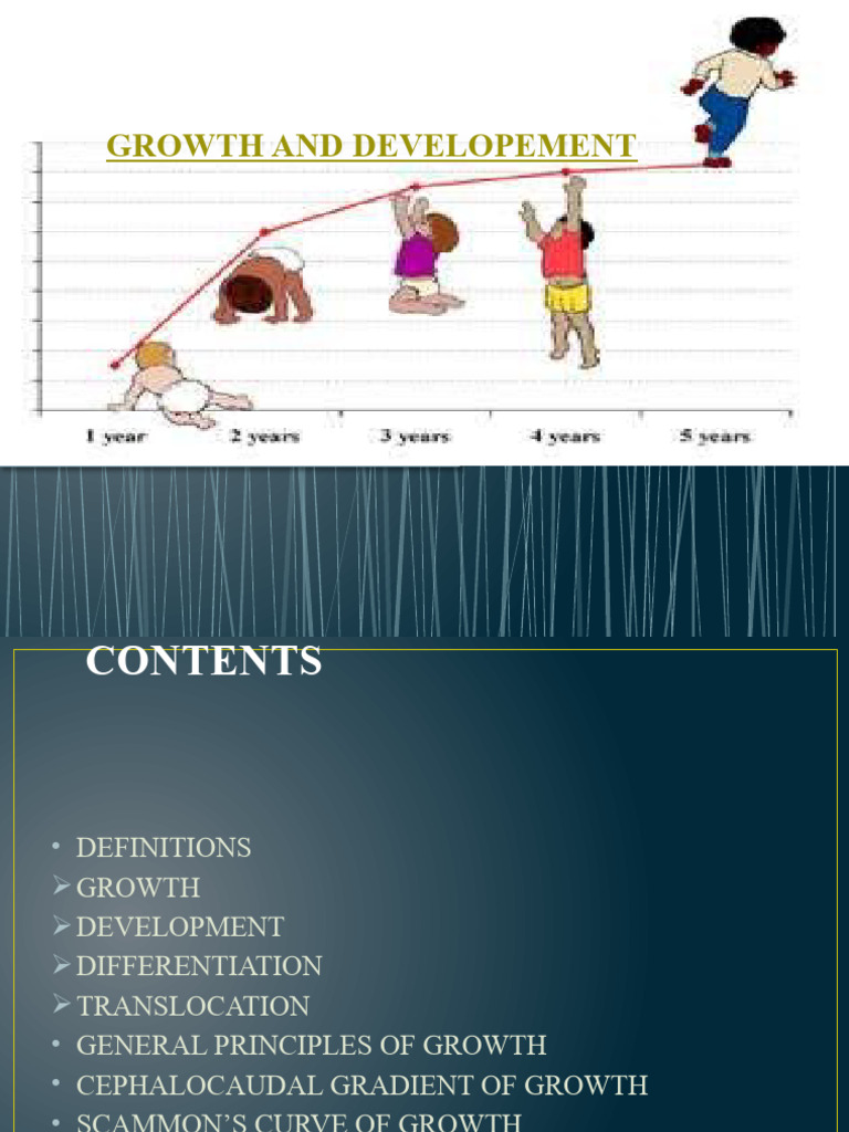 GROWTH AND DEVELOPMENT OF FACE | Download Free PDF | Bone | Cartilage