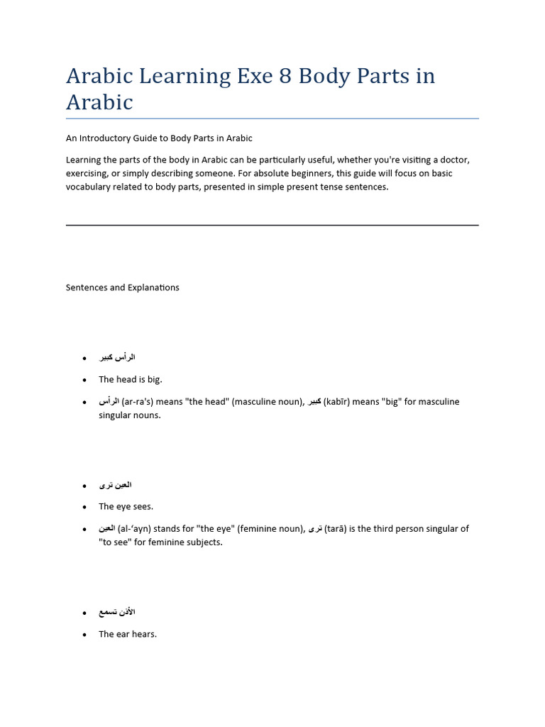 Arabic Body Parts: Beginner's Guide | PDF | Grammatical Gender | Noun