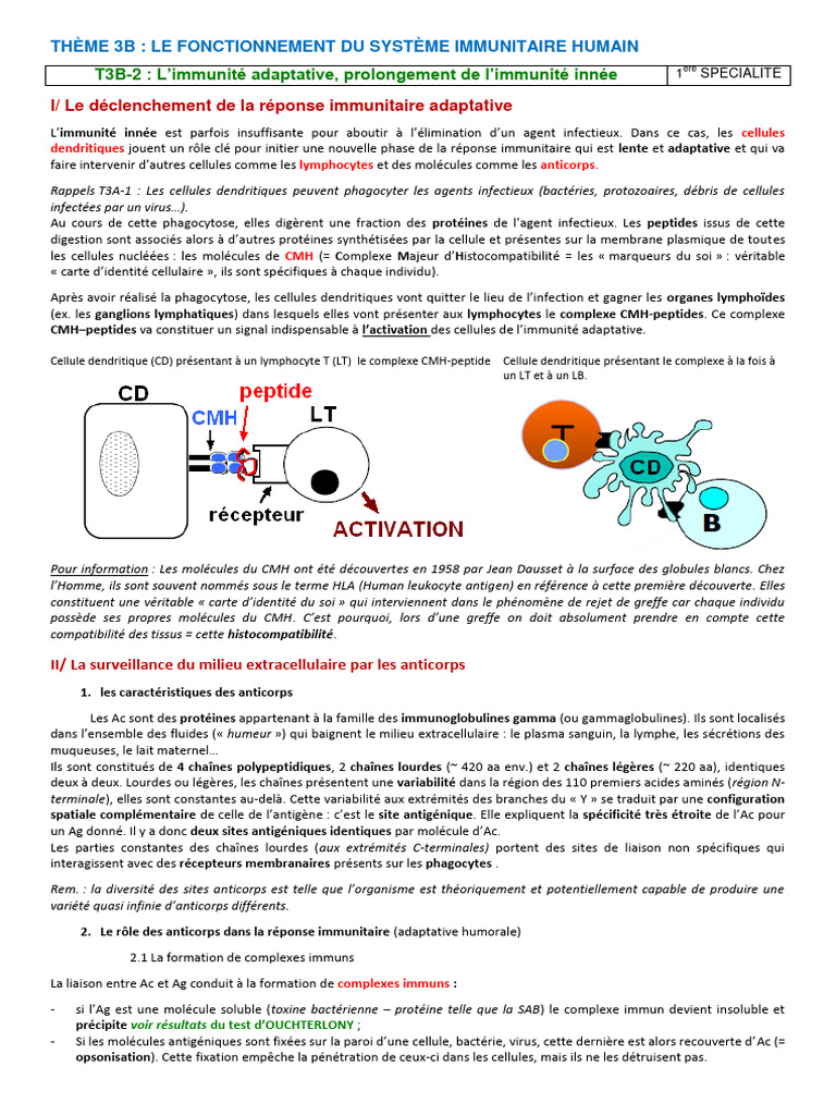 Immunité innée et adaptative en 1ère | PDF | Système immunitaire ...