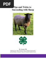 All About Sheep | PDF