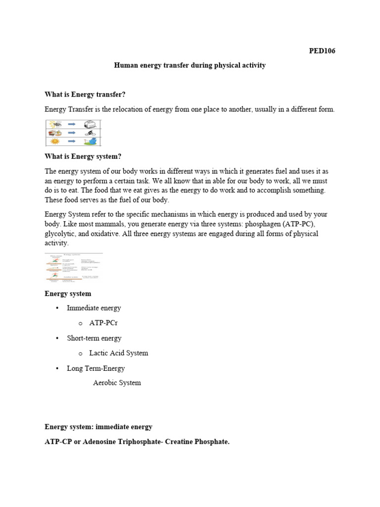 Human Energy Transfer During Physical Activity | PDF | Glycolysis ...