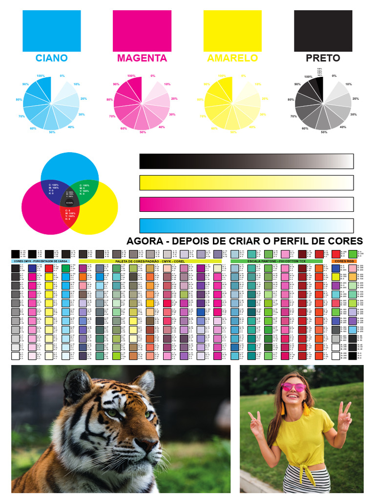PERFIL DE CORES IMAGEM - DEPOIS DO PERFIL | PDF