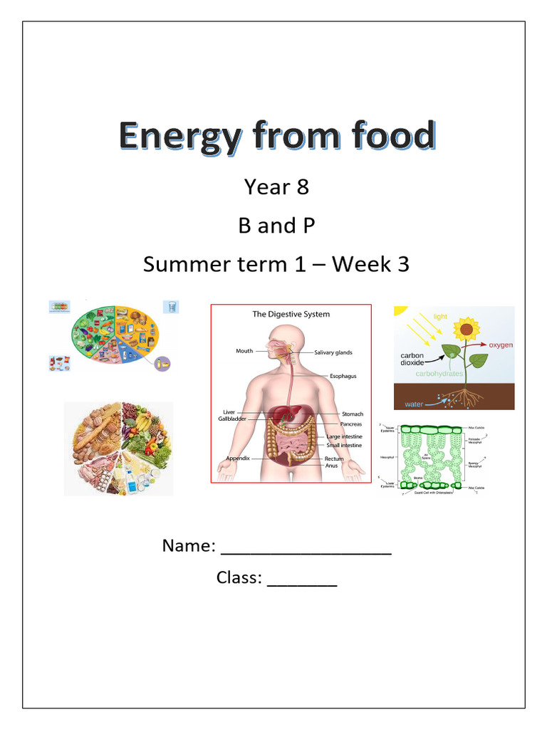 Y8 Energy From Food Closure Booklet BP WEEK 3 | PDF | Digestion ...