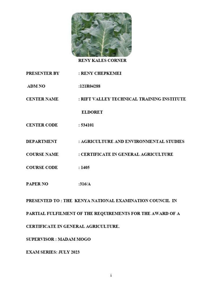 Reny Kales Corner Business Plan | PDF | Pricing | Entrepreneurship