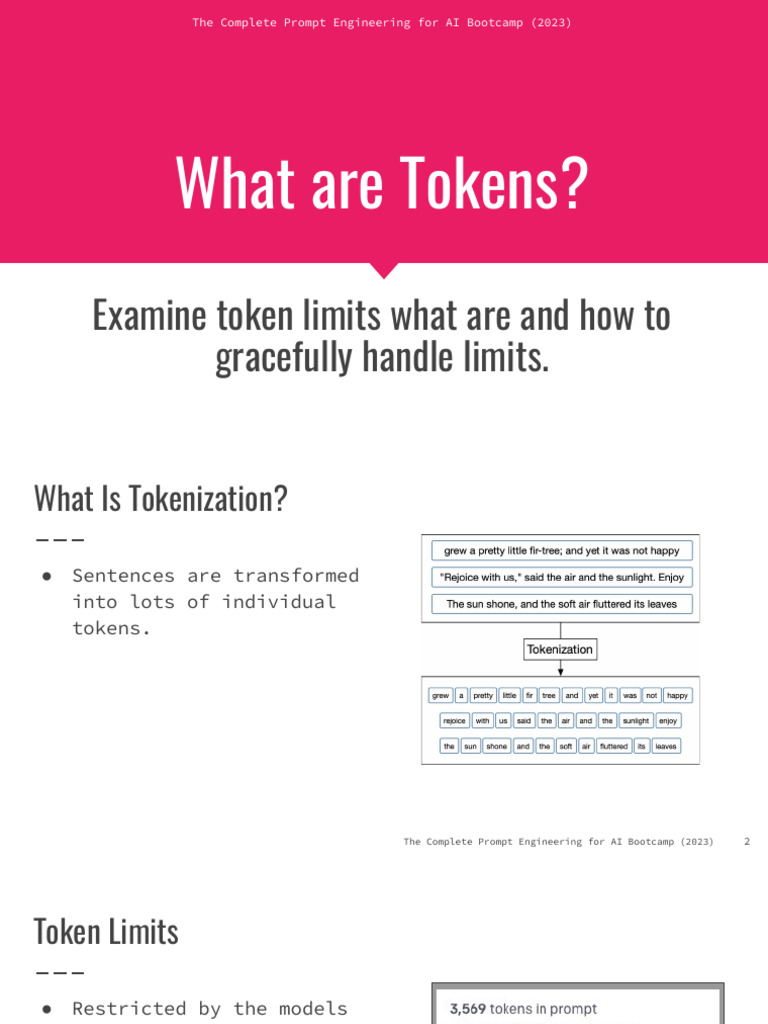 What+Are+Tokens | PDF