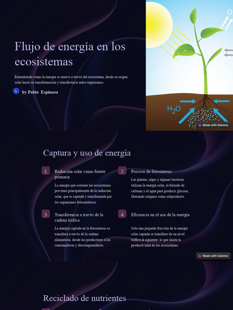 Flujo de Energia en Los Ecosistemas | PDF | Fotosíntesis | Red alimentaria