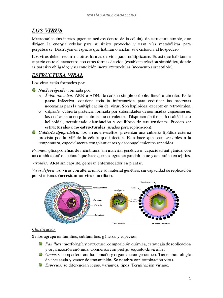 Introducción a los Virus y su Replicación | PDF | Sistema inmune | Virus