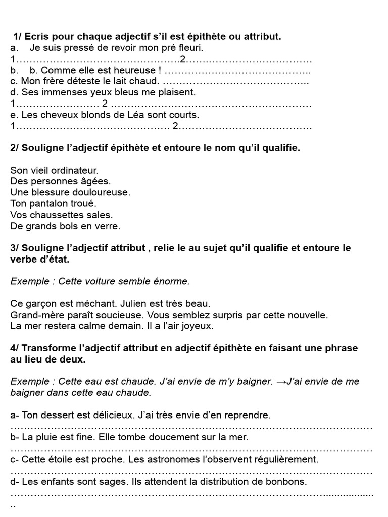 Adjectifs Exercices | PDF | Arbres