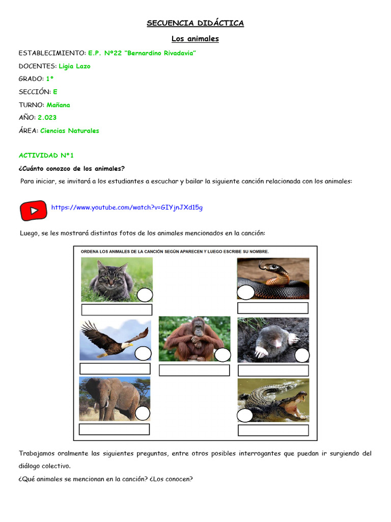 Secuencia Didáctica: Animales para 1° Grado | PDF | Esqueleto | Pluma