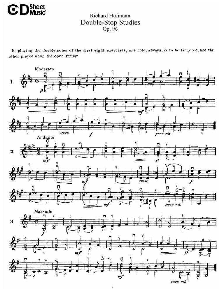 Violino Arco Corda Dupla Richard Hofmann | PDF