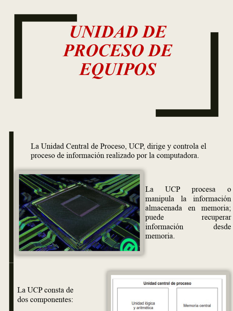 Unidad de Proceso de Equipos | PDF