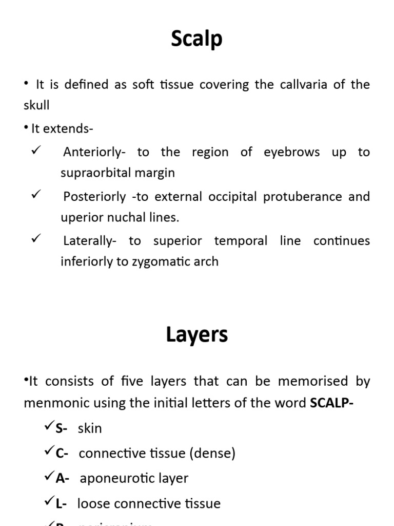 Anatomy of The Scalp by DR Yekye | Download Free PDF | Neck | Anatomy
