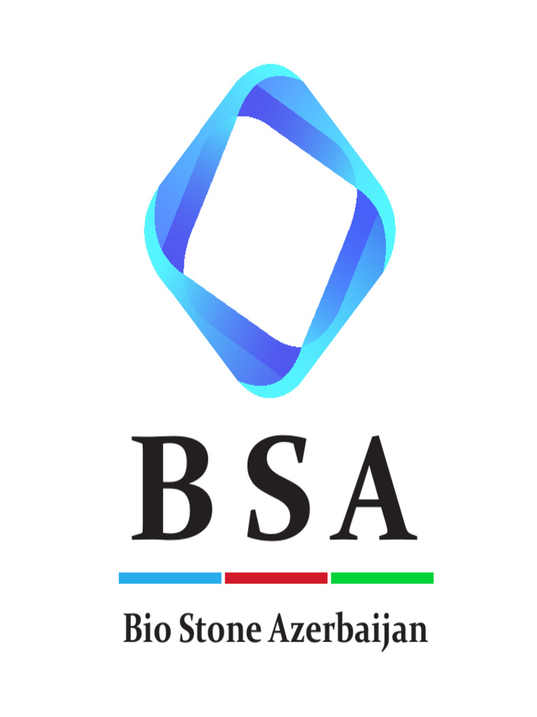 Bio Stone Logo | PDF