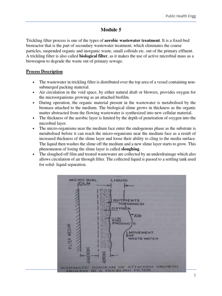 Phe Module 5 | PDF | Sewage Treatment | Anaerobic Digestion