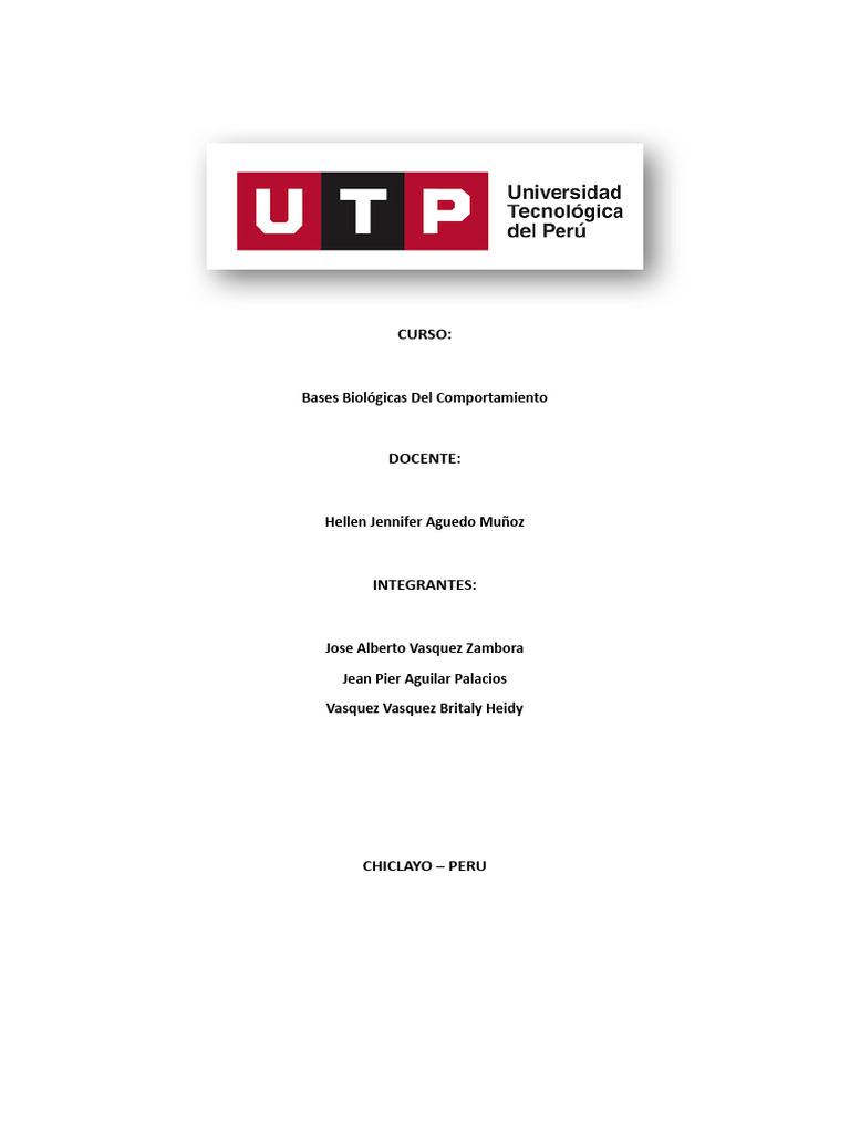 Bases Tarea Grupal | PDF | Percepción | Sentidos