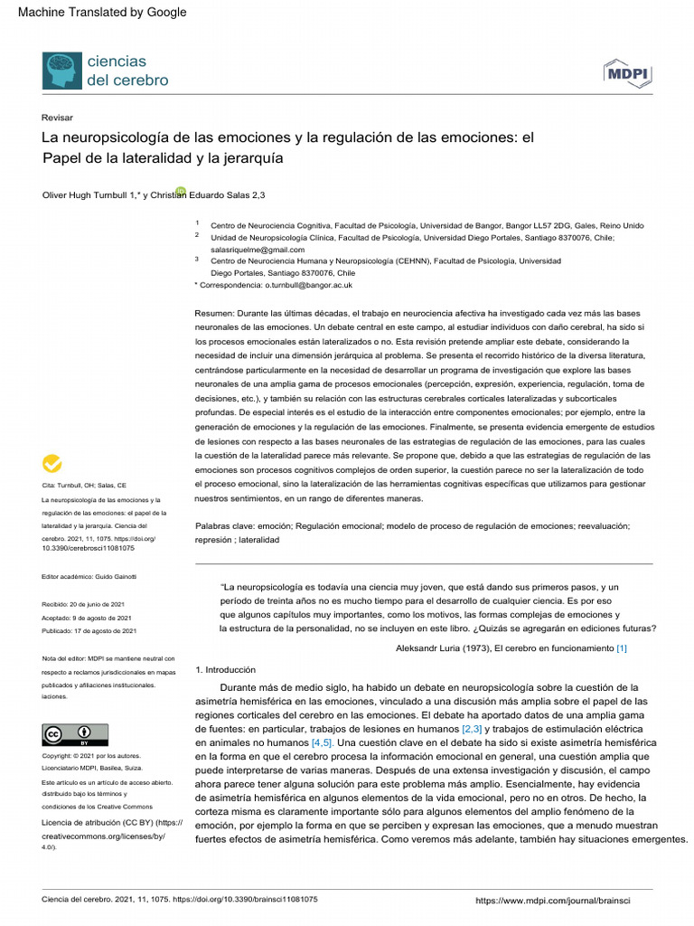 Emotion Regulacion Español | PDF | Las emociones | Neuropsicología