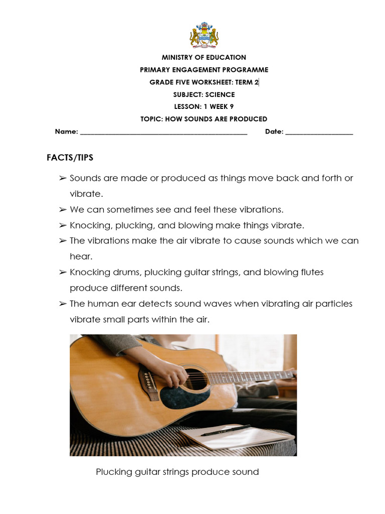 Grade 5 Science Weeks 9-12 Worksheets - Term 2 | PDF | Ear | Sound