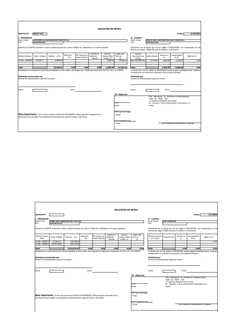 Formato de Neteo | PDF