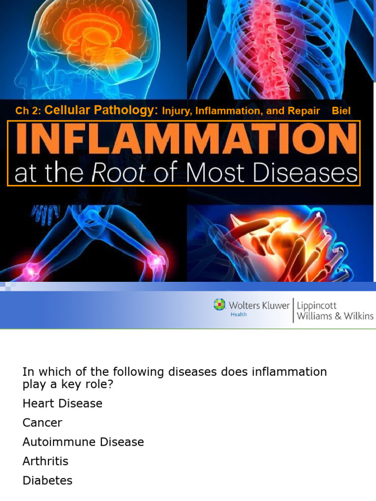 Pathophys CH 2 Cellular Path Injury Inflammation and Repair | PDF ...