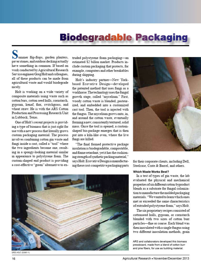 Biodegradable Packaging | PDF | Composite Material | Fibers