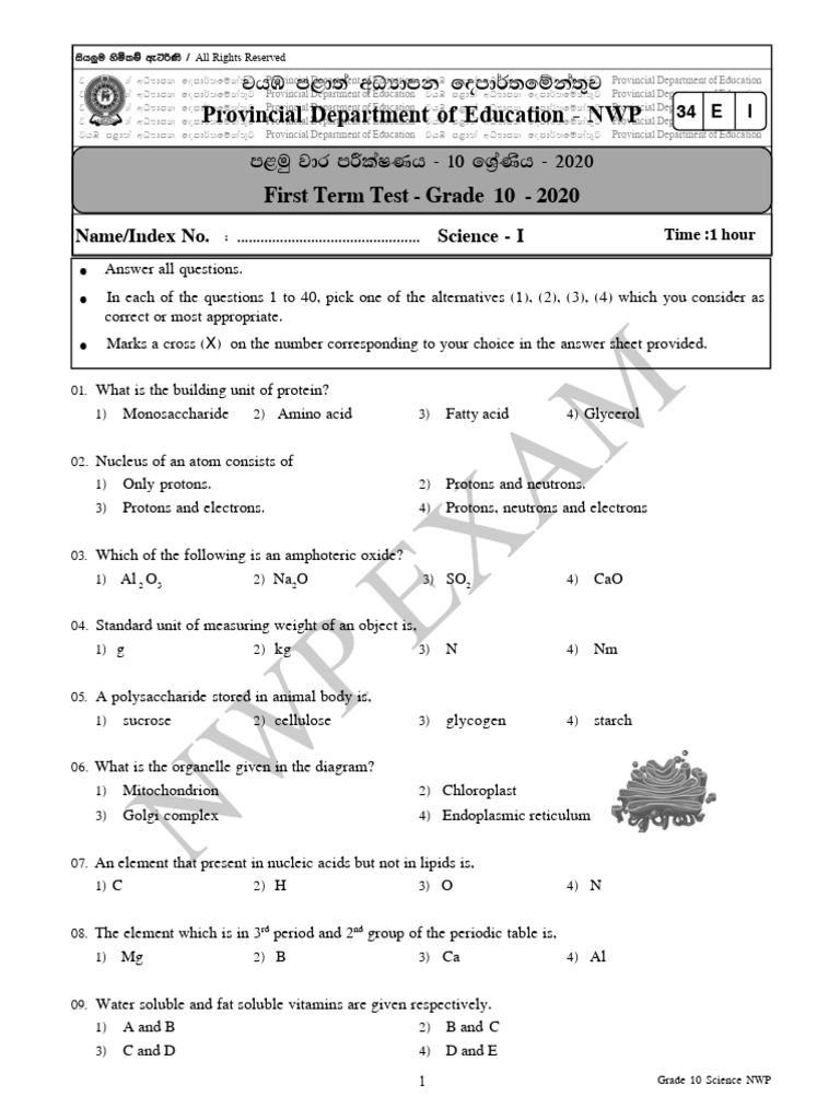 Grade 10 Science 1st Term Test Paper 2020 English Medium - North ...