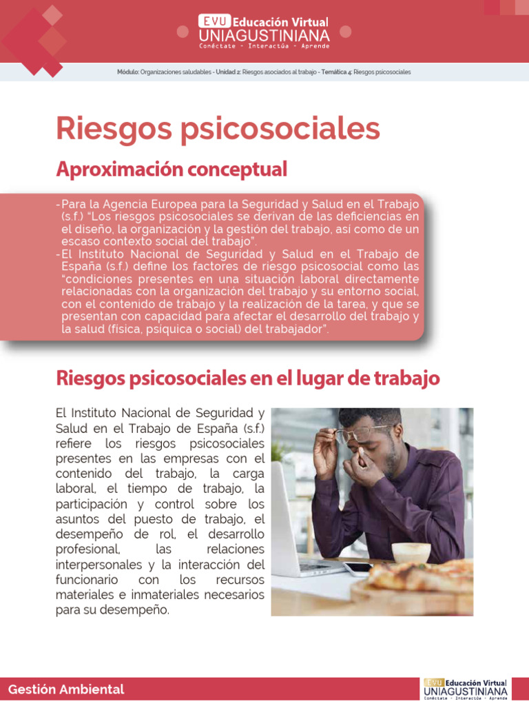 Riesgos Psicosociales | PDF | Seguridad y salud ocupacional | Empleo
