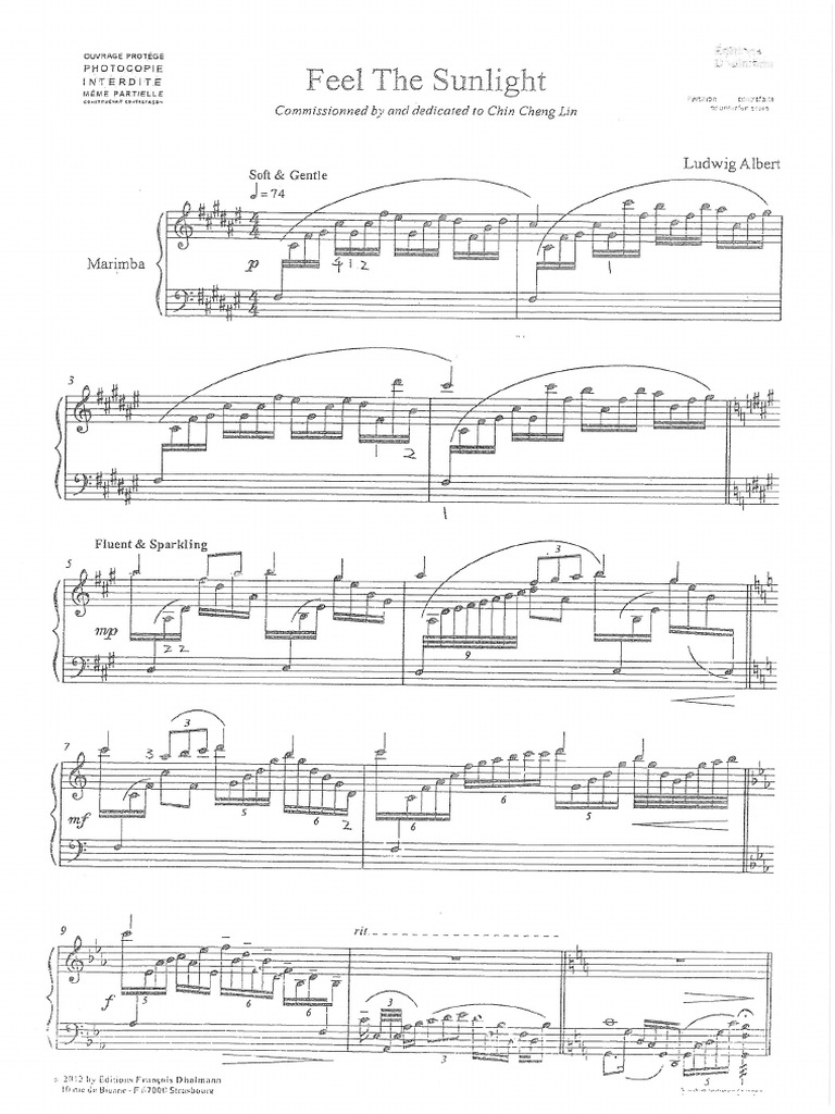 Feel The Sunlight | PDF