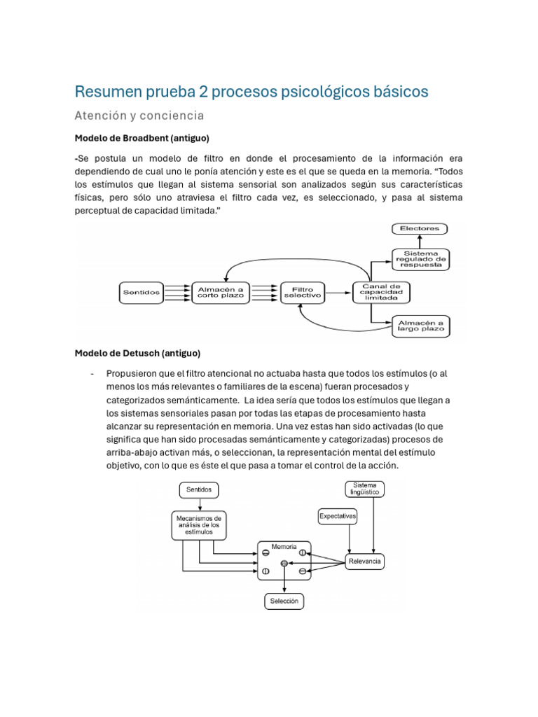 Resumen Prueba 2 Procesos Psicológicos Básicos | PDF | Memoria | Atención