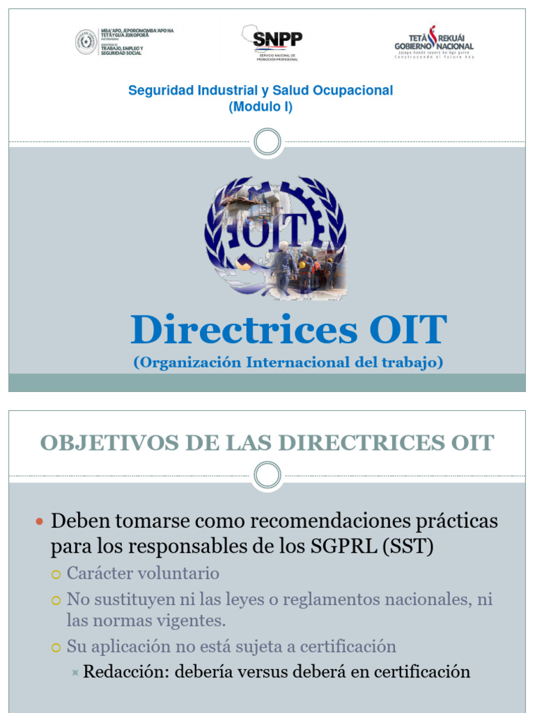 OIT - Directrices | PDF