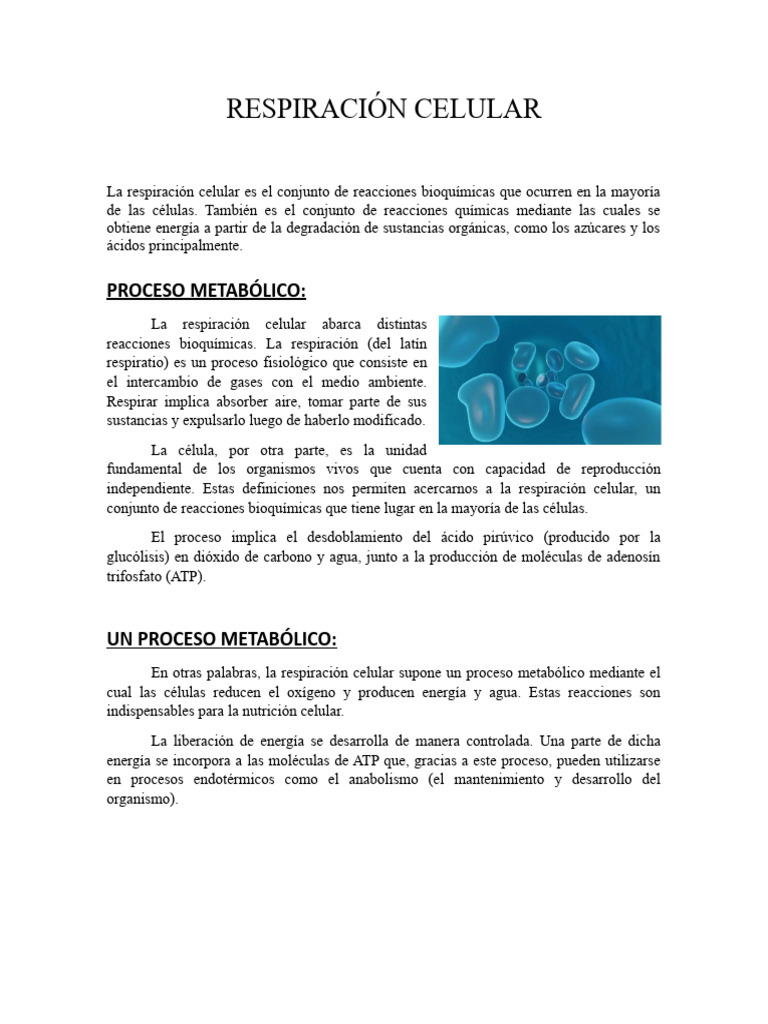 Infografía sobre respiración celular | PDF | Respiración celular ...