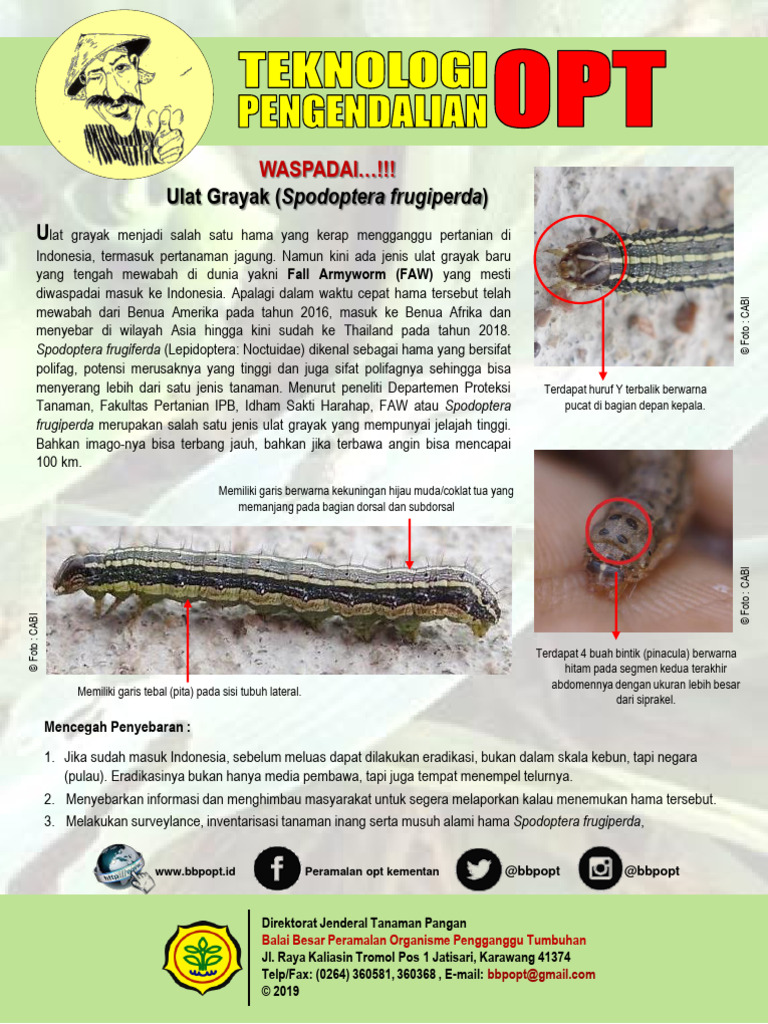 Teknologi Pengendalian OPT | PDF