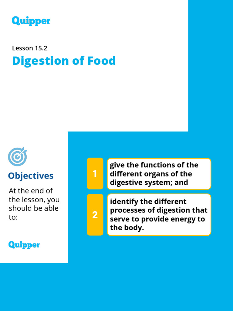 Digestive Process | PDF | Digestion | Human Digestive System
