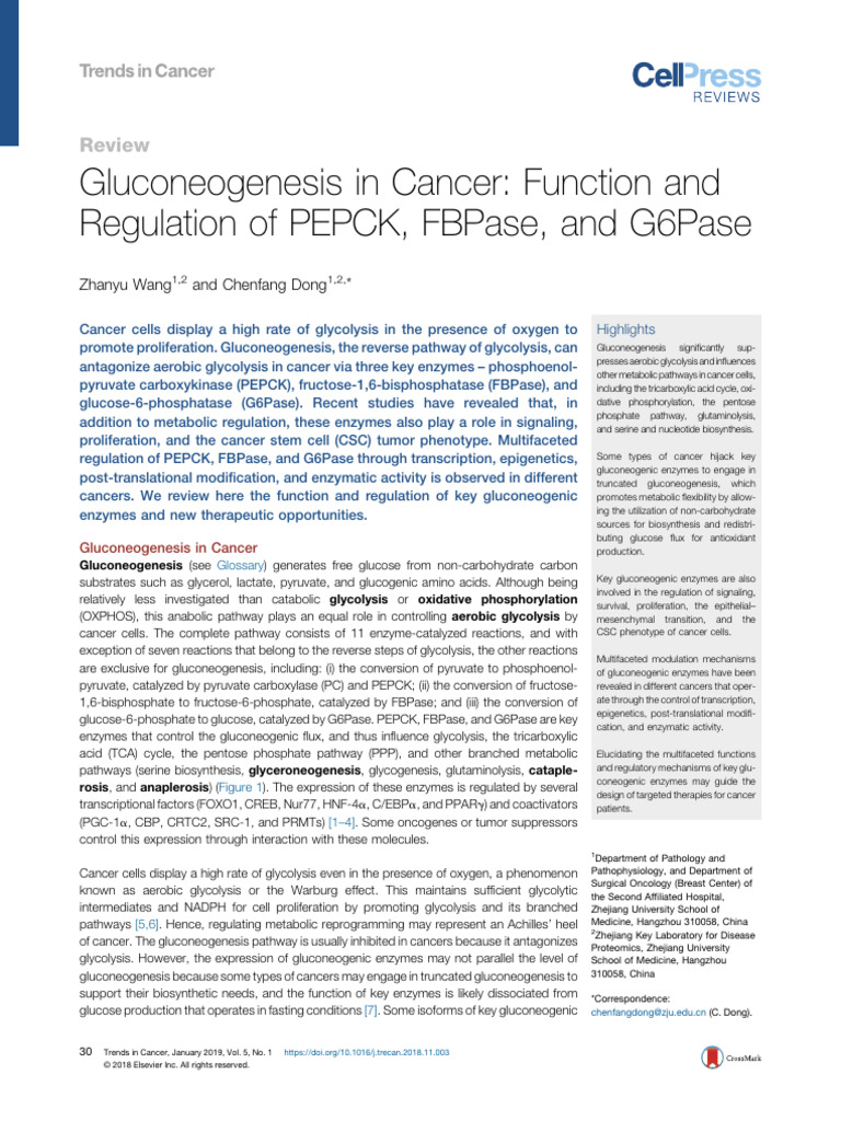 Gluconeogenesis in Cancer - Function and Regulation of PEPCK, FBPase ...
