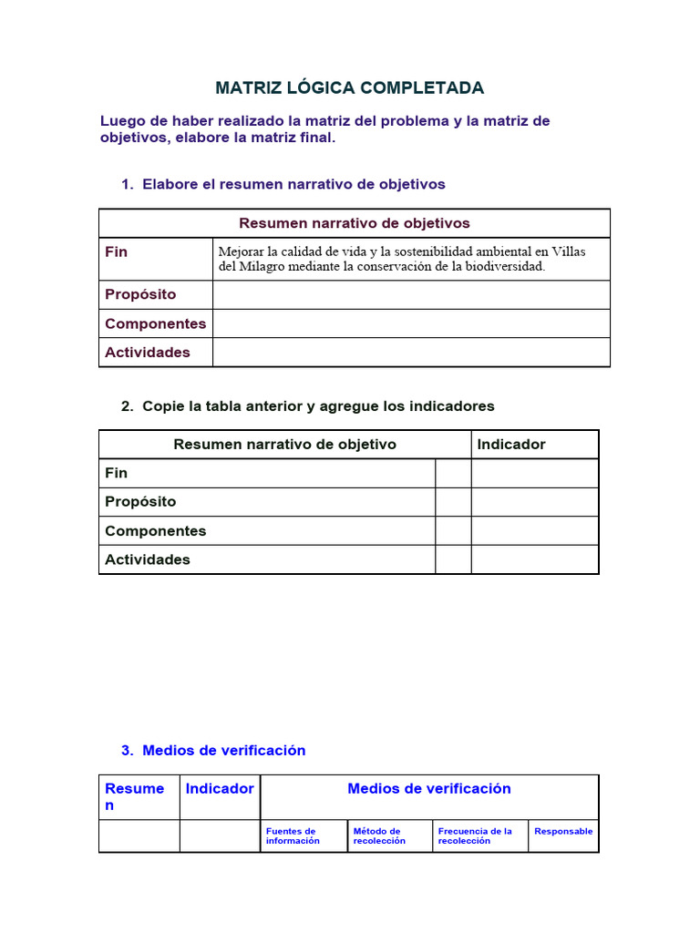 Matriz Lógica Completada | PDF | Negocios