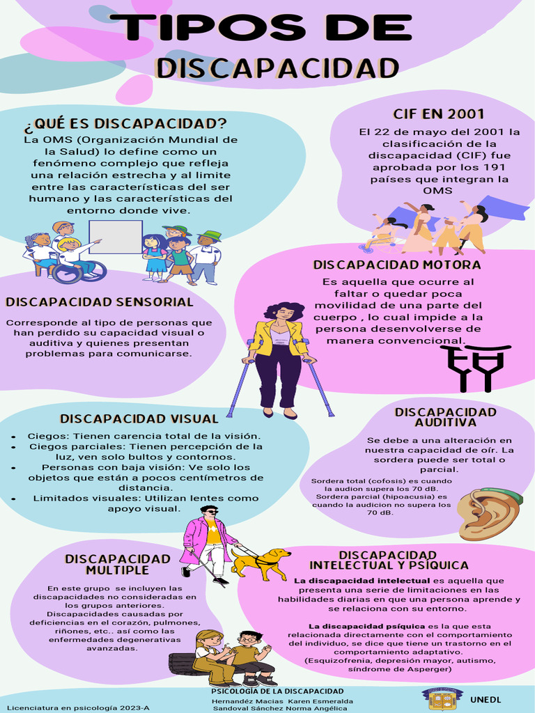 Infografia Tipos de Discapacidad | PDF | Invalidez | Discapacidad intelectual