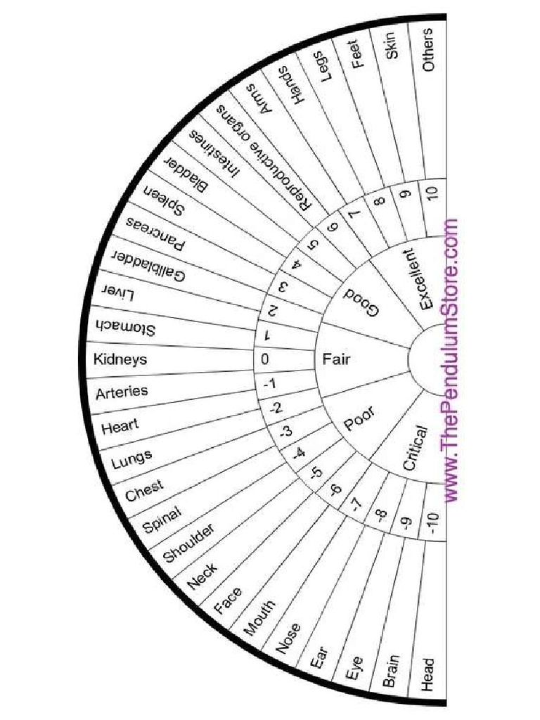 Pendolo Organi | PDF