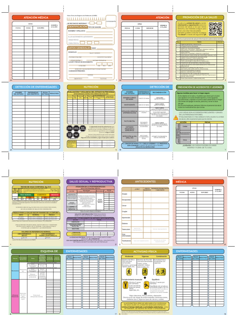 Carnet Adultos Mayores Armado | Descargar gratis PDF | Obesidad | Diabetes
