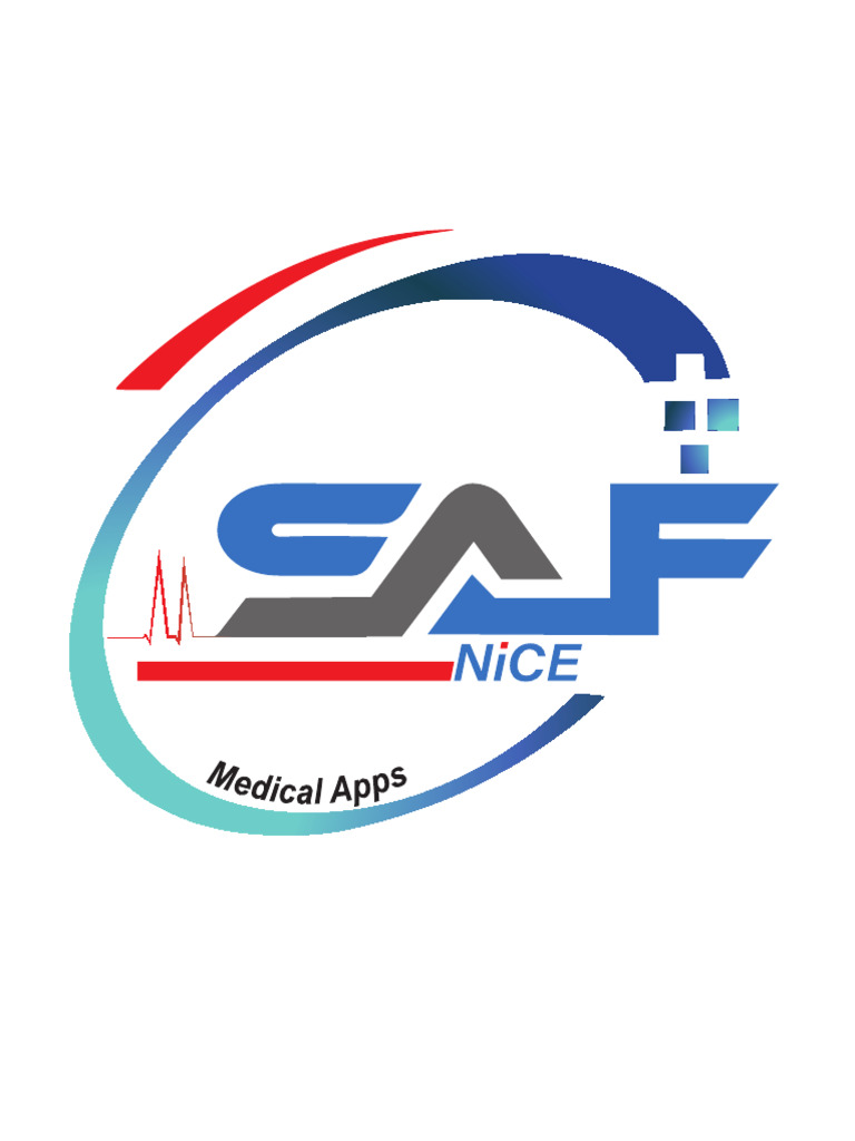 Saf 1.3-1 | PDF
