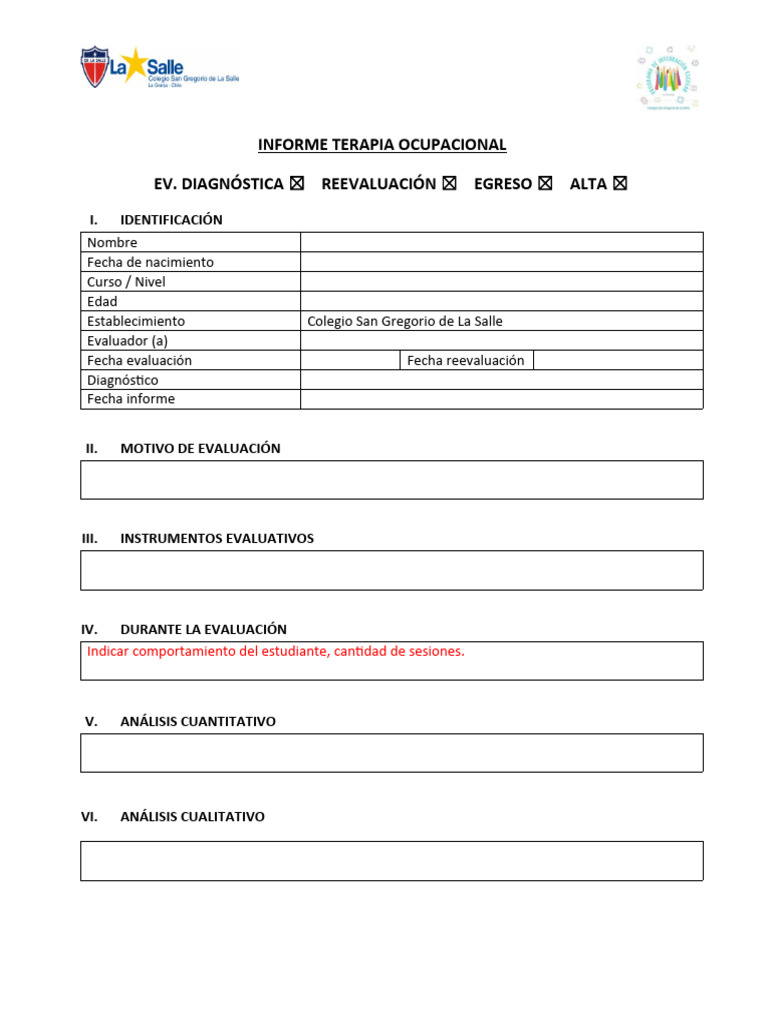 FORMATO - Informe Terapia Ocupacional - 2023 | PDF