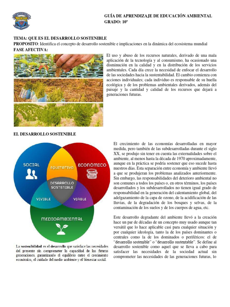 Taller G10° Que Es El Desarrollo Sostenible | PDF | Desarrollo sostenible | Sustentabilidad
