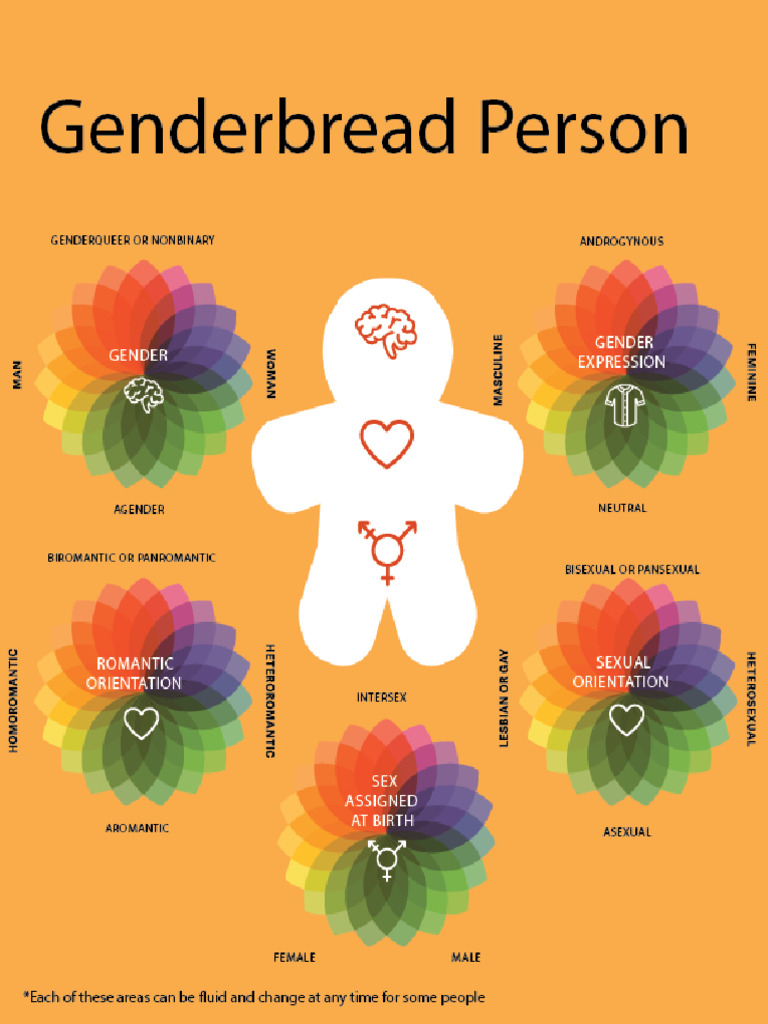 7-12 Genderbread Update | Download Free PDF | Gender | Gender Studies